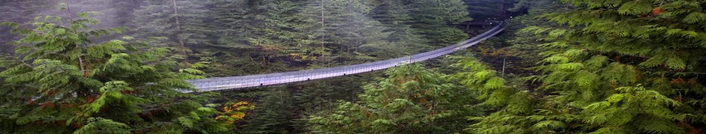 Travel Through Canada Without a Visa - CIC